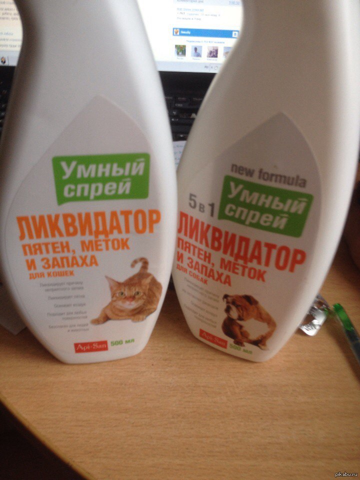 КАК УДАЛИТЬ ЗАПАХ МОЧИ КОТА - Средства от кошачьего запаха – Муркотэ о ...